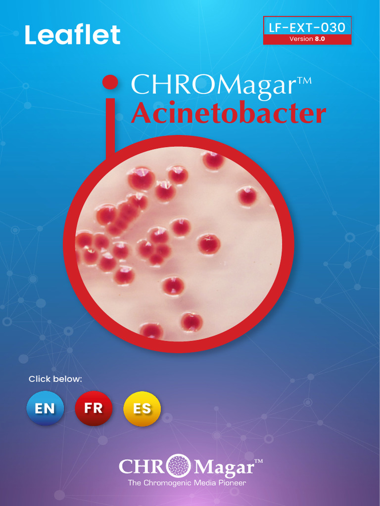 LEAFLET Chromagar | Download Free PDF | Hospital Acquired Infection ...