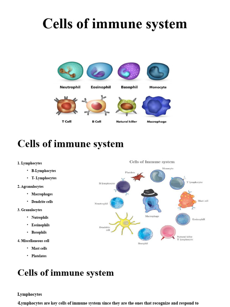 Cells of Immune System | PDF