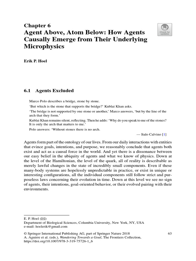 Agent Above Atom Below | PDF