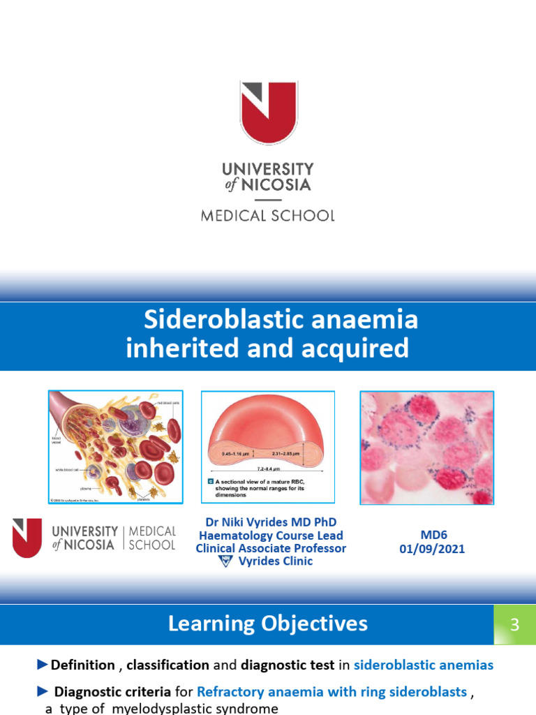 Sideroblastic Anemia Overview | PDF | Anemia | Clinical Medicine