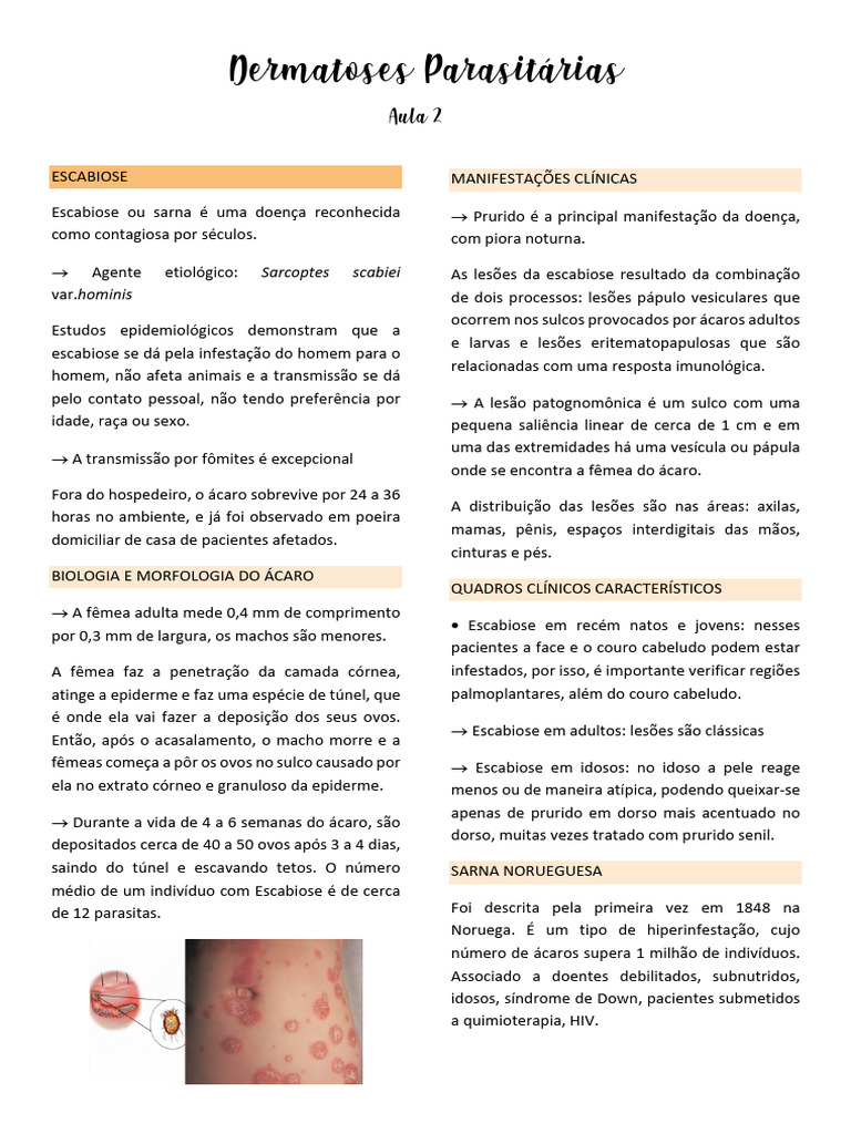 Aula 2 - Resumo de Dermatoses Parasitárias | PDF | Especialidades ...