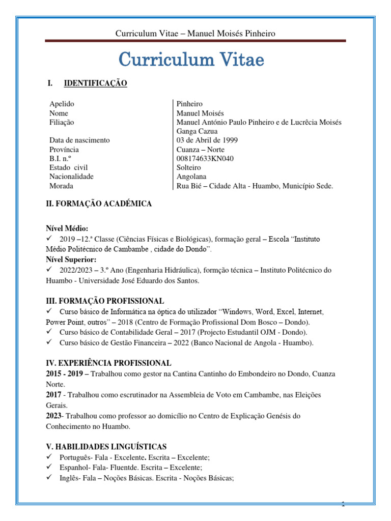 CURRICULUM VITAE - MANUEL PINHEIRO 2024n | PDF | Angola
