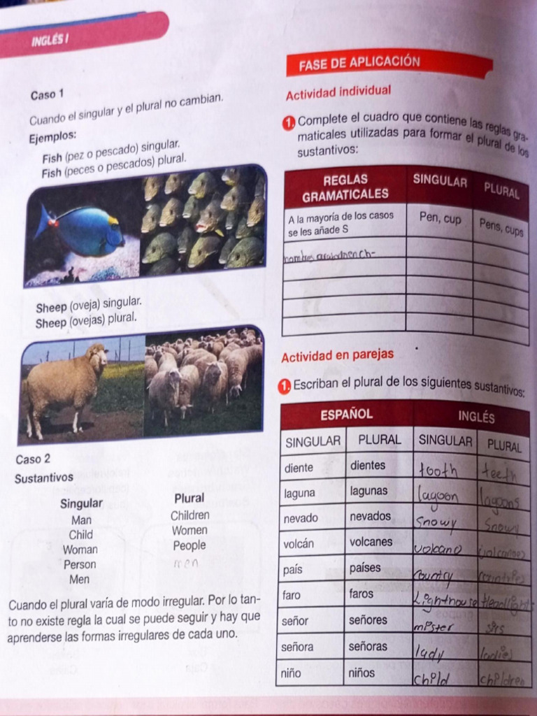 English Class 5 | PDF