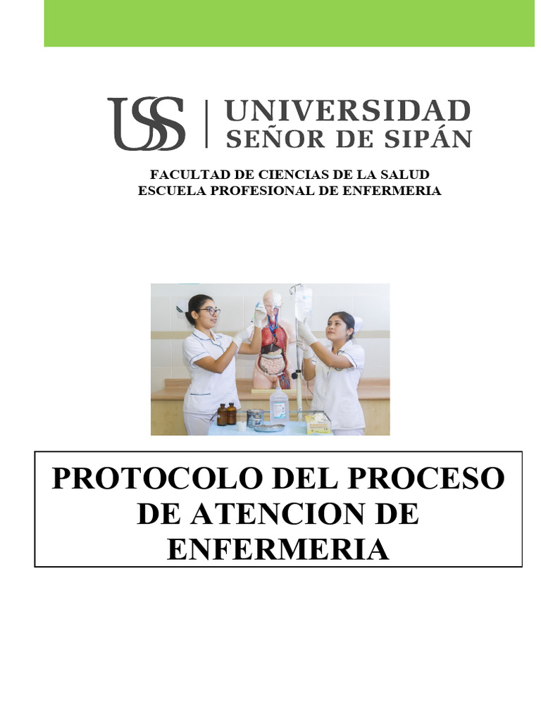 Pae Introduccion A La Enfermeria Pdf Enfermedades