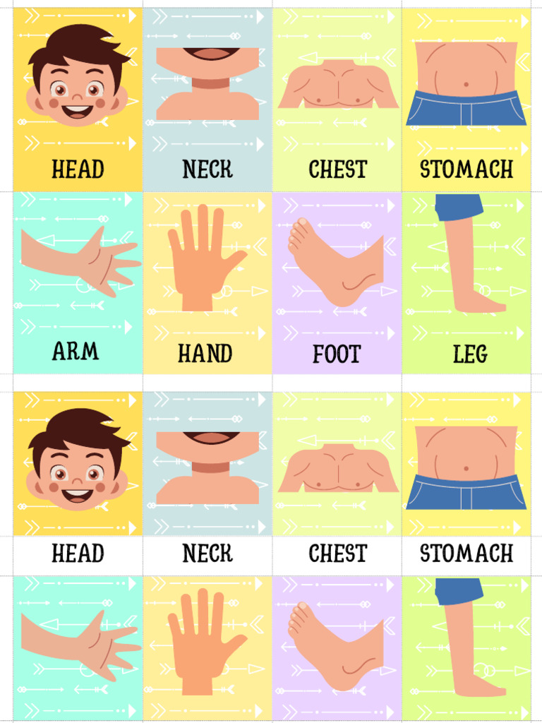 Bodyparts Flashcards Boys | PDF