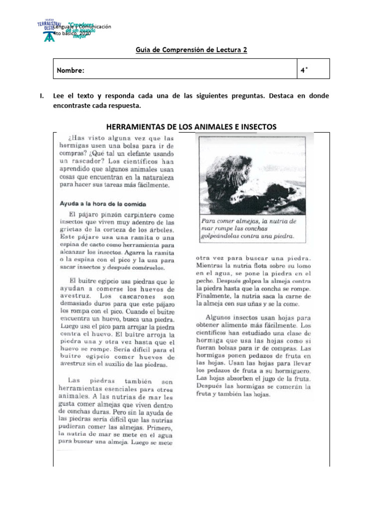 4° Guia de Comprension de Lectura 2 | PDF