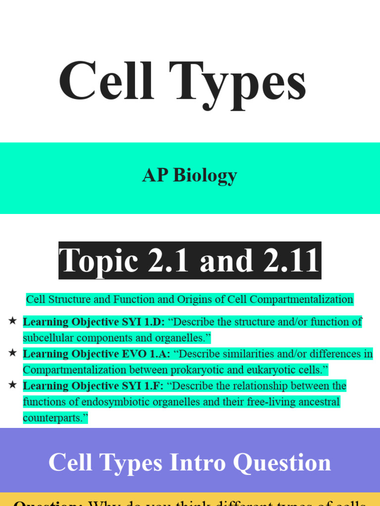 Cell Basics Presentation | PDF