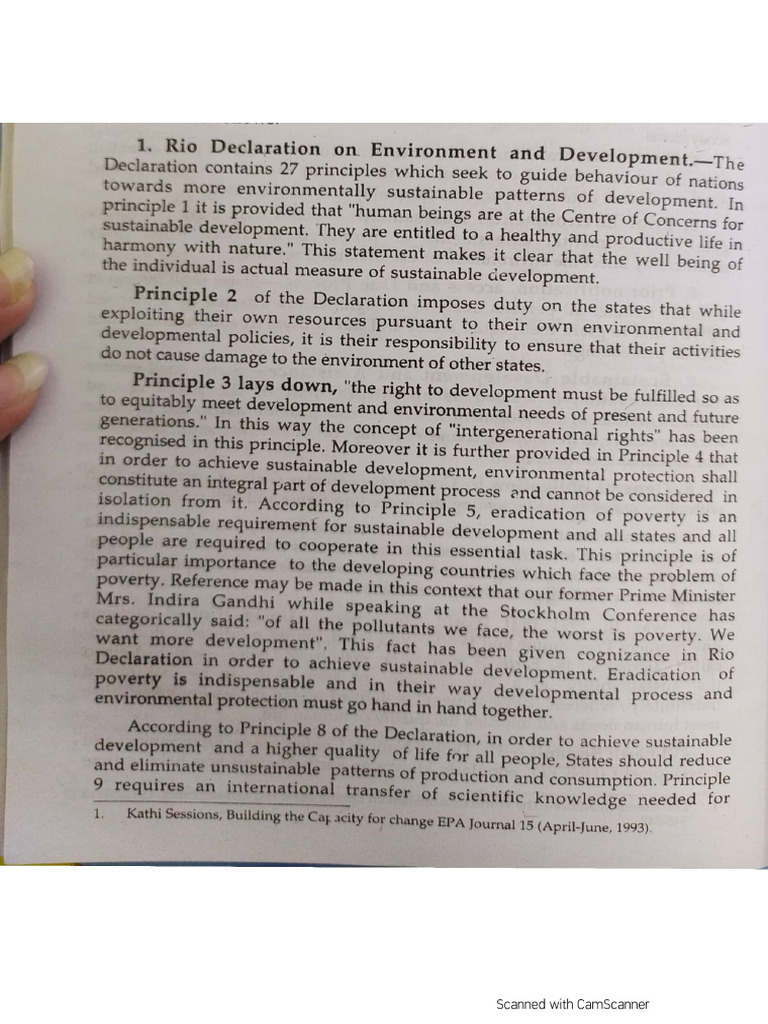 rio declaration | PDF