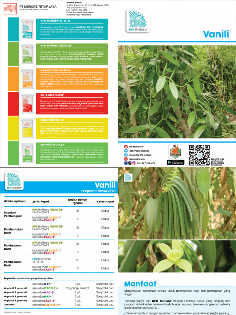 Tanaman Vanili | PDF