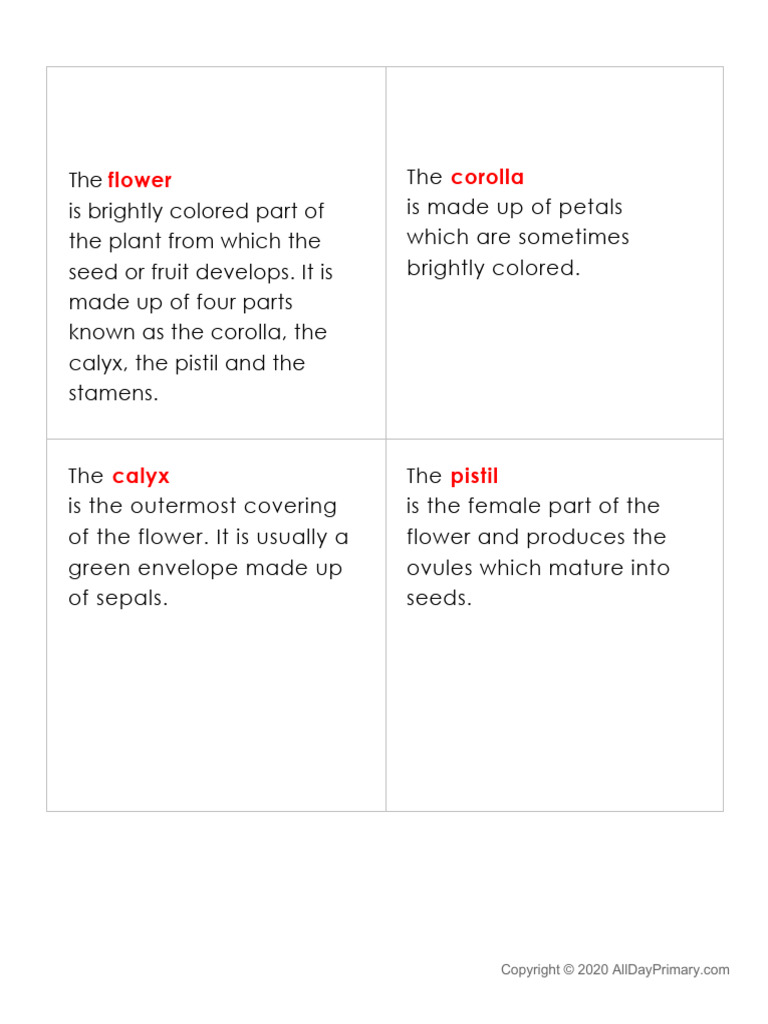 Parts of A Flower Definition Stage of Reading Classification | PDF