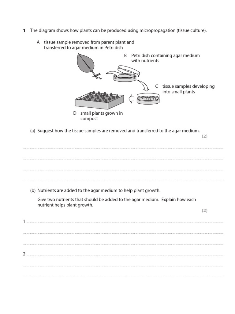 Cloning 2 QP | PDF | Biology | Nature