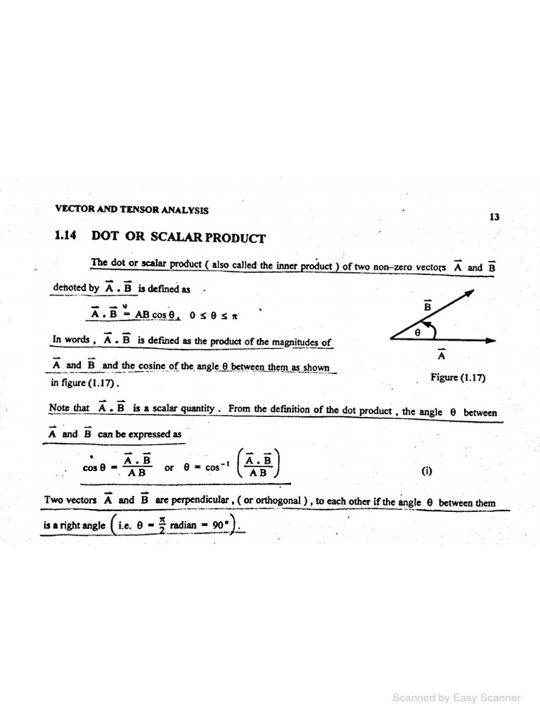 Vector Introduction | PDF