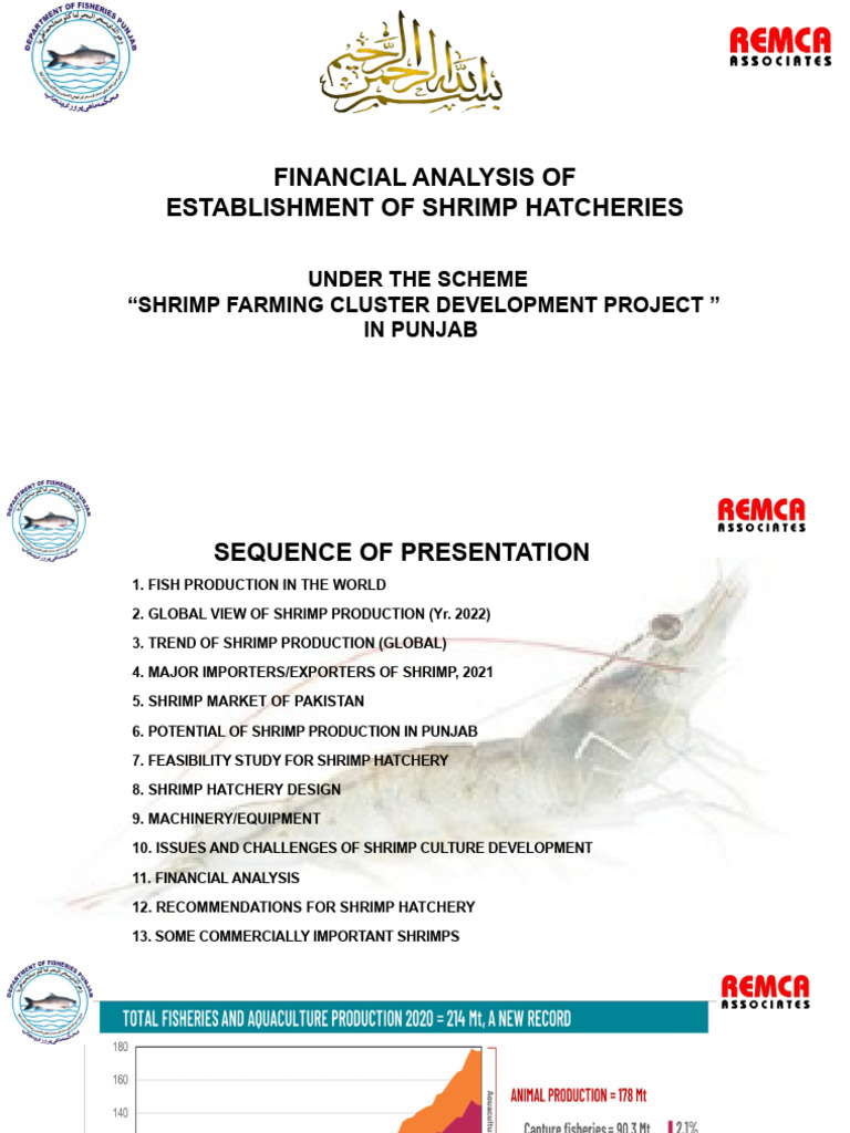 Shrimp Presentation | PDF | Aquaculture | Shrimp