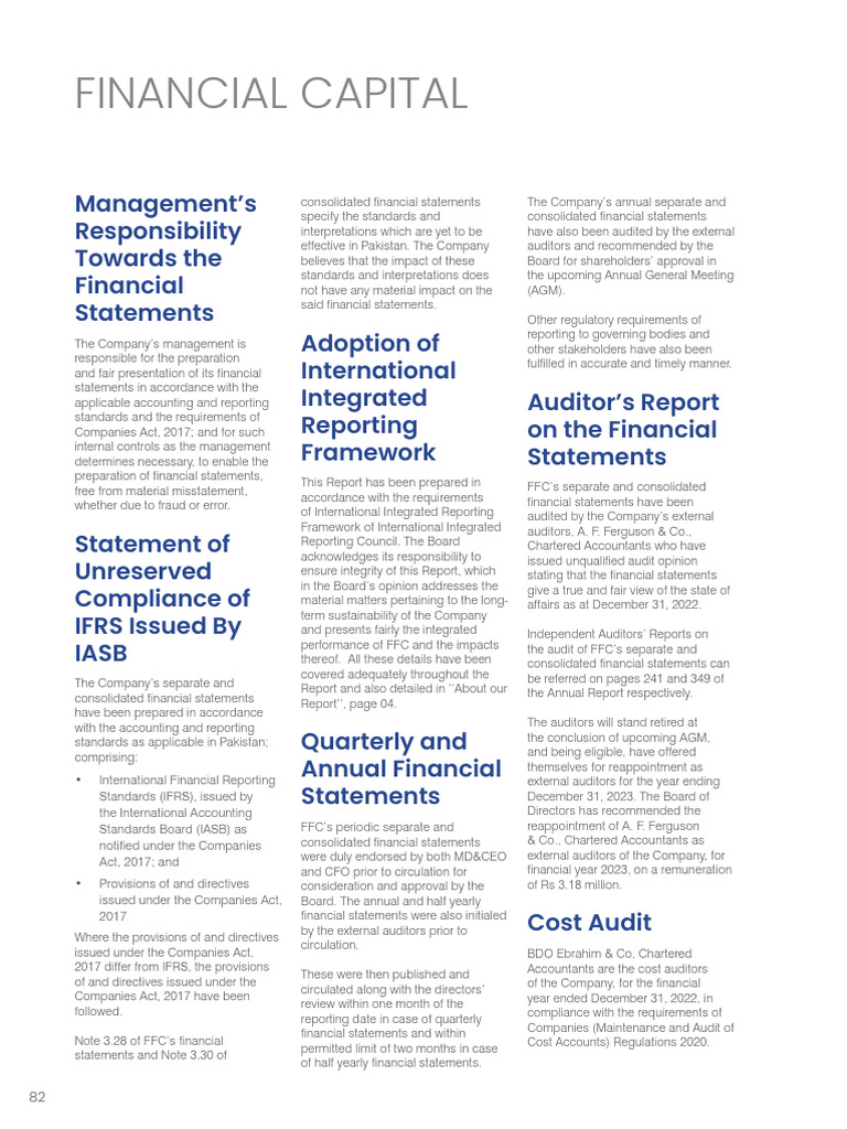 Financial Capital | PDF | Audit | Financial Statement
