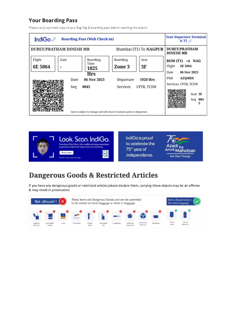 Boarding Pass | PDF | Baggage | Transport