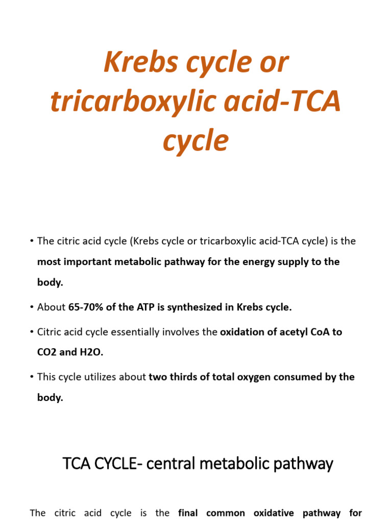 Krebs Cycle or Tricarboxylic acid-TCA Cycle | PDF