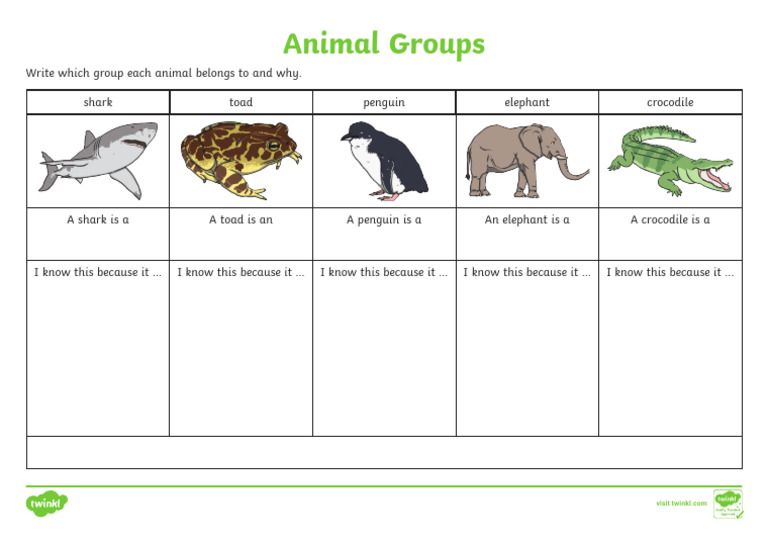 -animal-group-worksheet | PDF