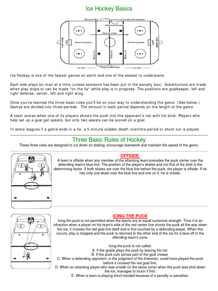 030 HockeyBasics | PDF | Ice Hockey | Sports