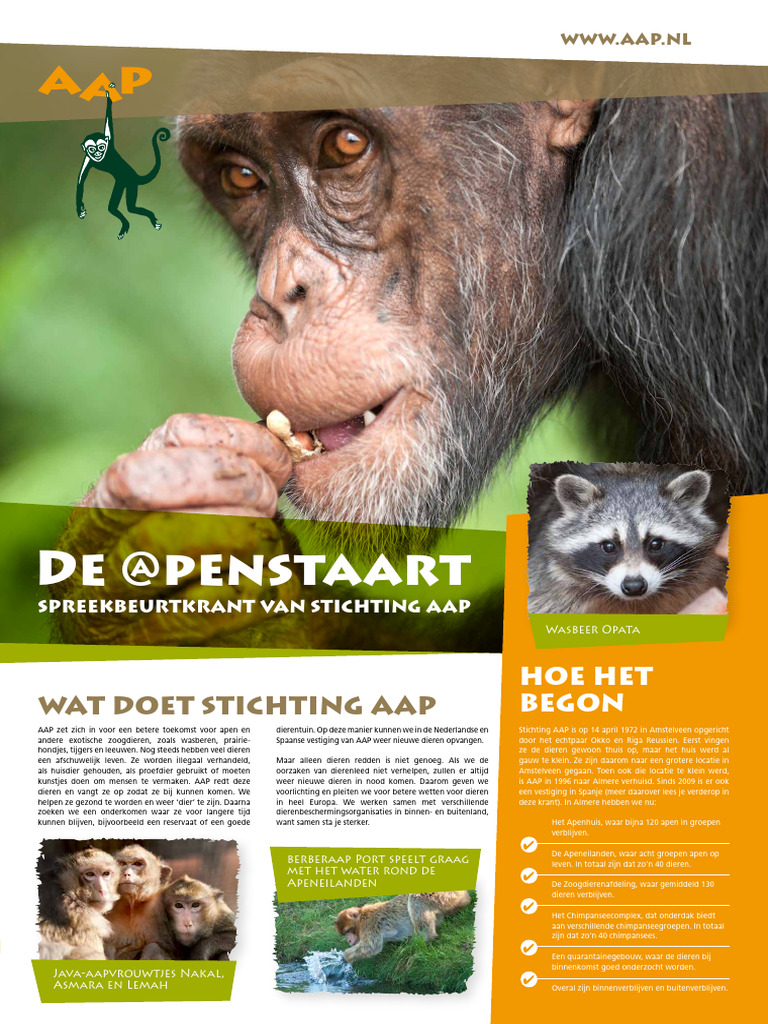 AAP Spreekbeurtkrant | PDF