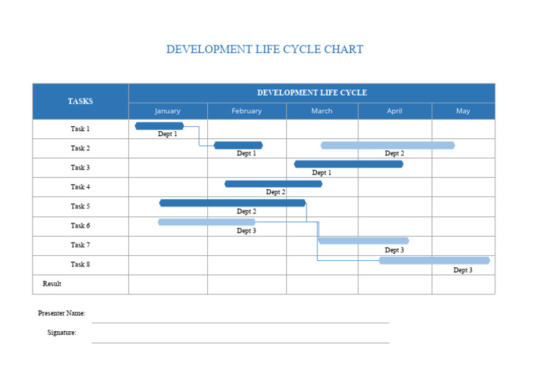 Development Life Cycle Tasks Chart | PDF