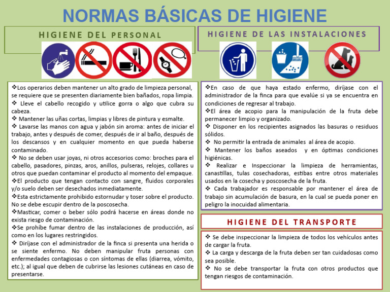 Normas de Higiene | Descargar gratis PDF | Higiene | Lavado de manos
