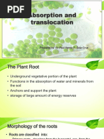 LFSC Grade 10 - Unit 4 - Plant and Animal Tissues | PDF | Tissue ...