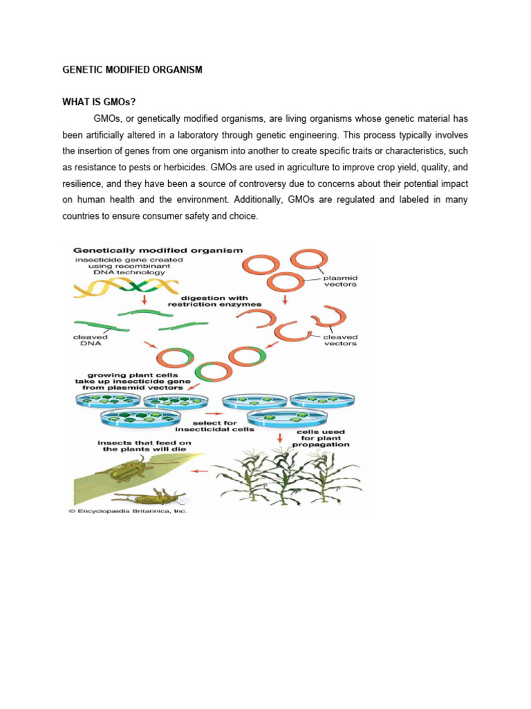 STS - GMOs | PDF
