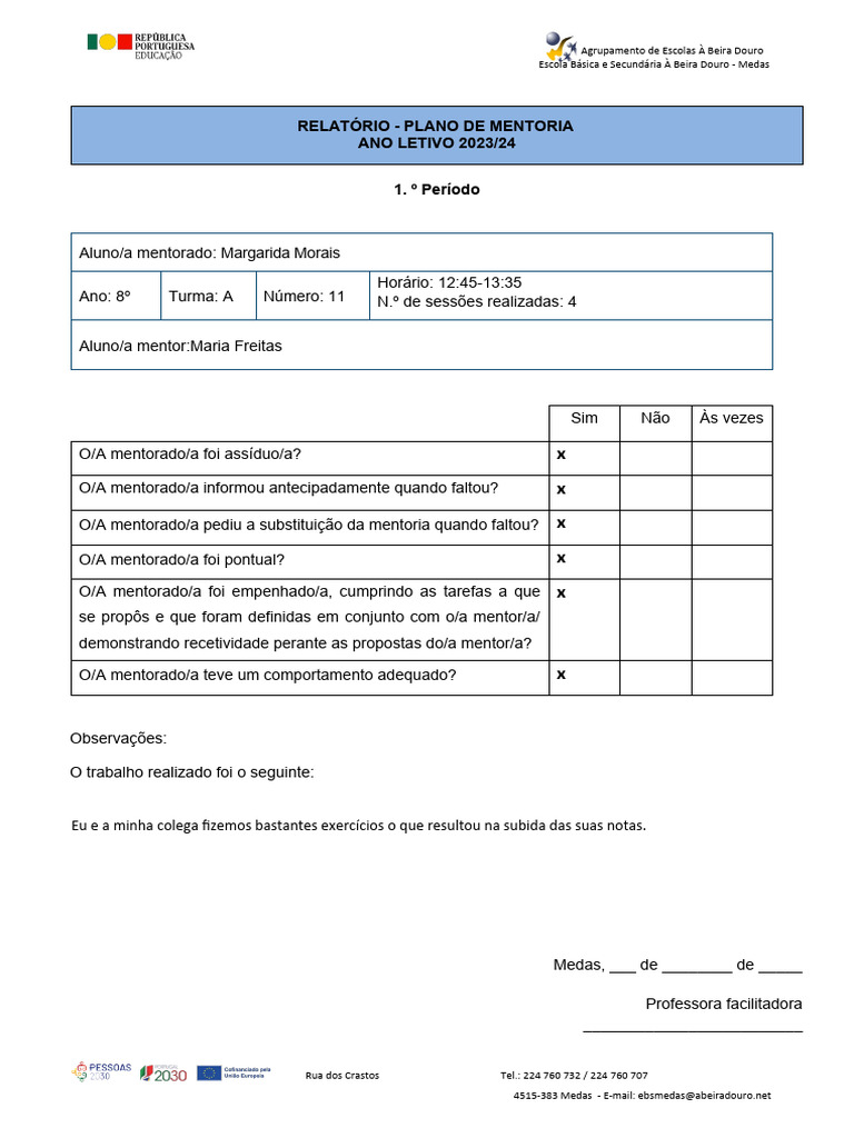 Relatório de Mentoria 8º Ano Medas | PDF | Carreira e Crescimento