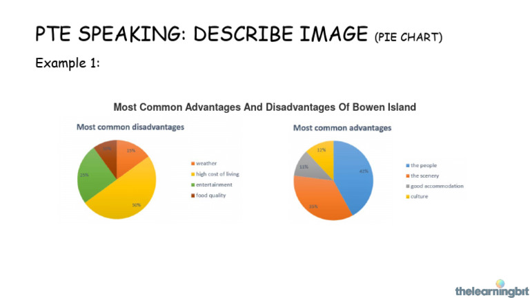 Pie Chart: Pros and Cons Explained | PDF