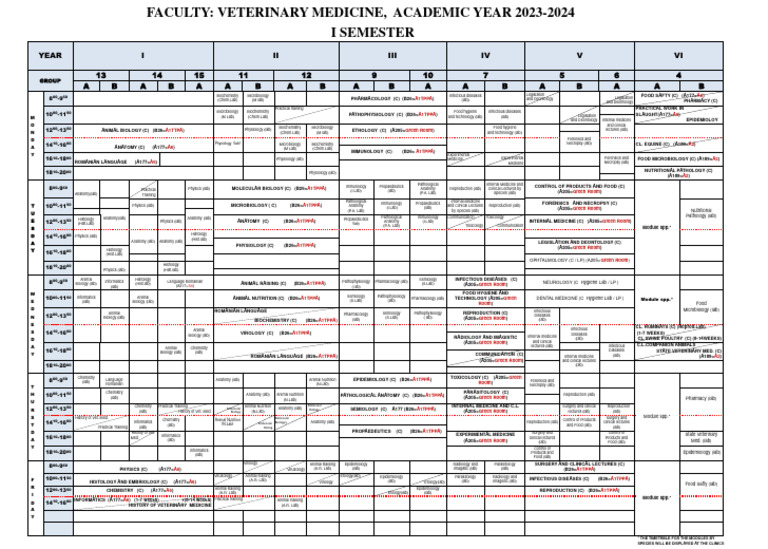 Veterinary Medicine Timetable 2023-2024 | PDF