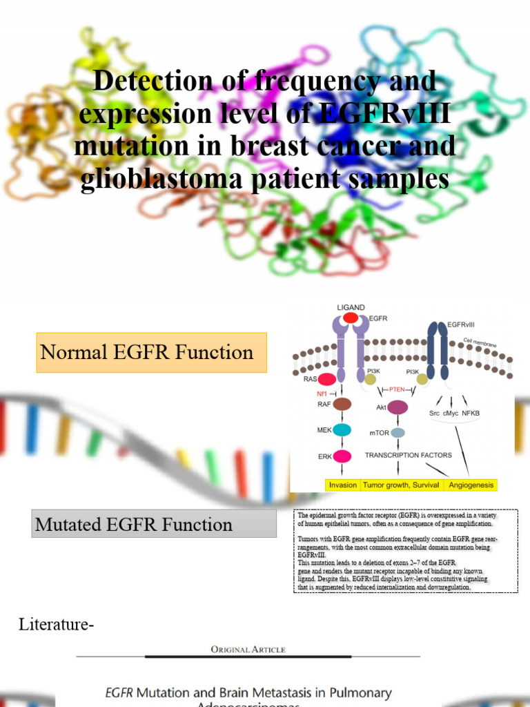 EGFRvIII Mutation in Breast Cancer and Glioblastoma | PDF | Science ...