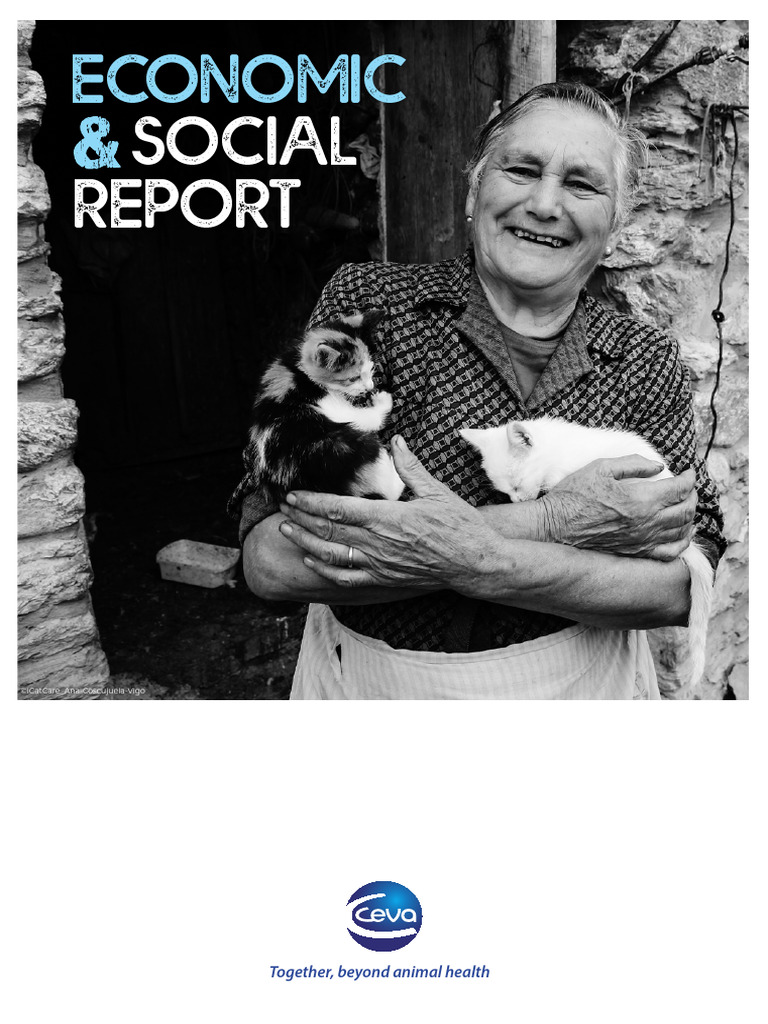 Ceva Economic Social Report | PDF