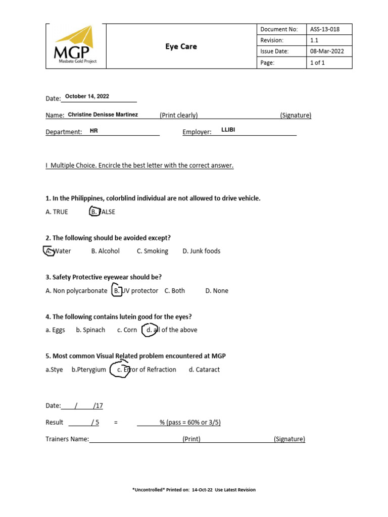 Eye Care Assessment | PDF
