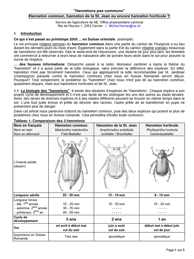 Hannetons | PDF