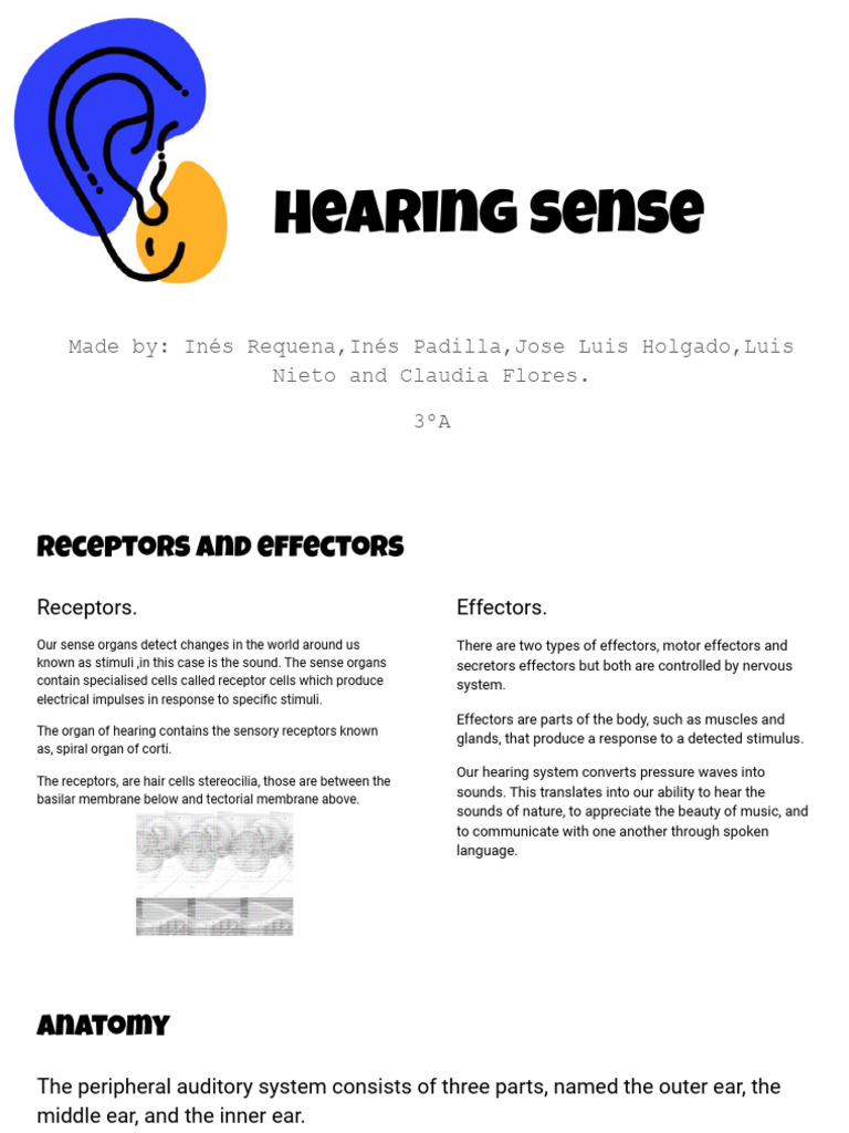 Hearing Sense | PDF | Ear | Hearing