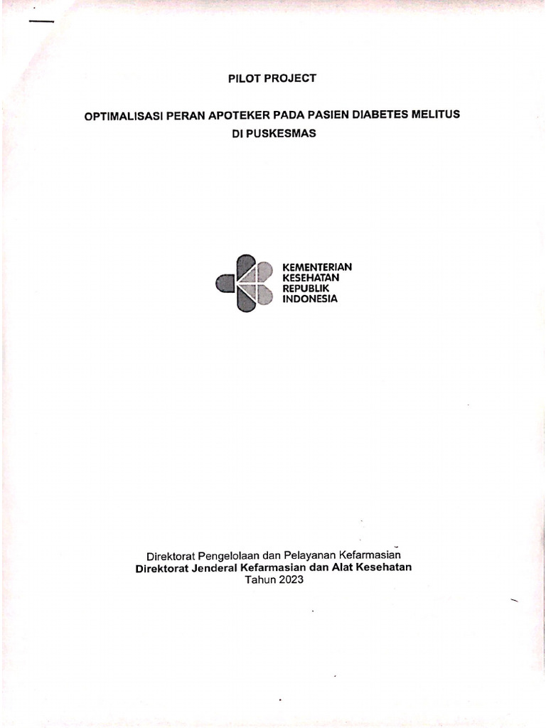 Pilot Project | PDF