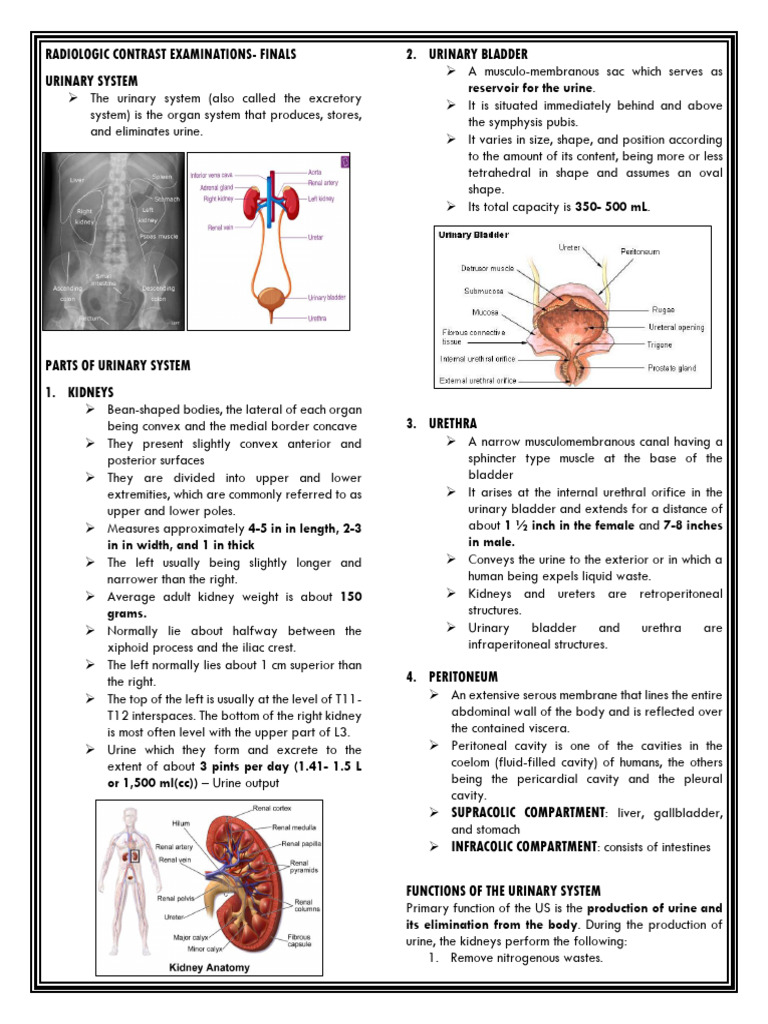 Radiologic Contrast Examinations Finals | PDF