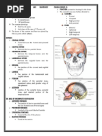 Skull Positioning | PDF | Skull | Anatomy