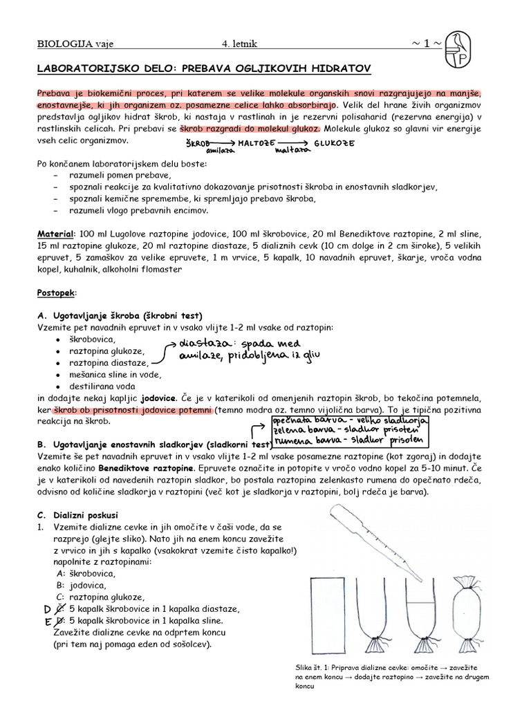 Prebava Ogljikovih Hidratov | PDF
