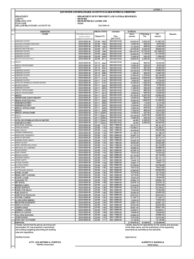 DENR Davao Del Sur Accounts Payable List | PDF