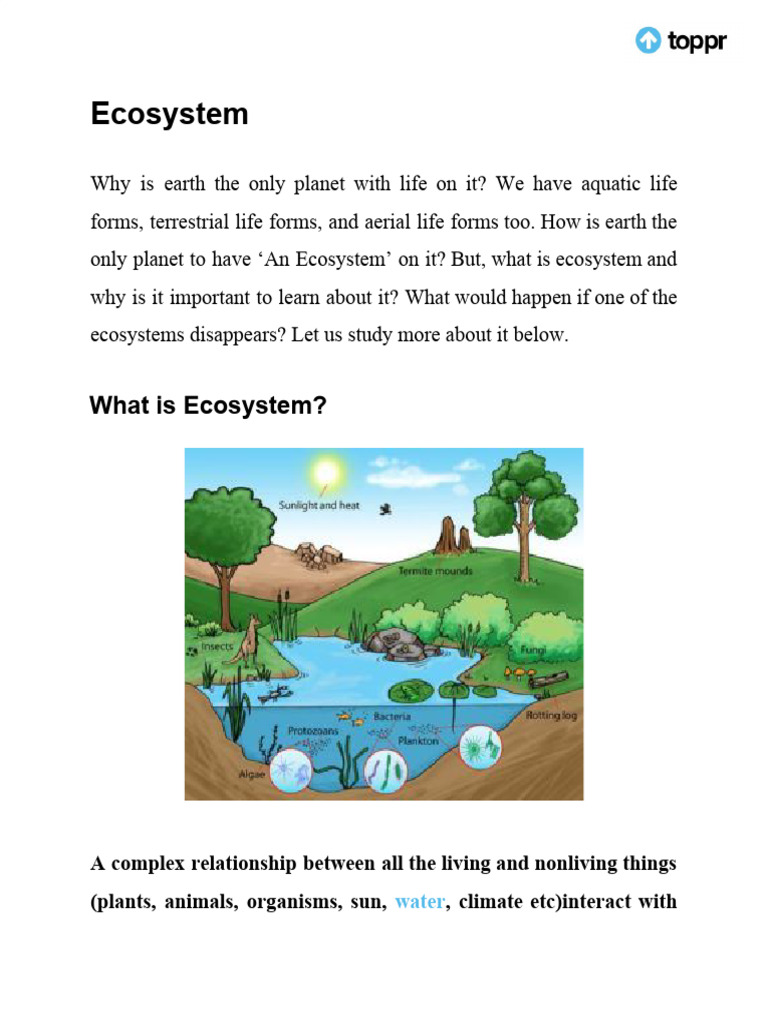 Class 10 Science Chapter 15 Our Environment Revision Notes | PDF ...