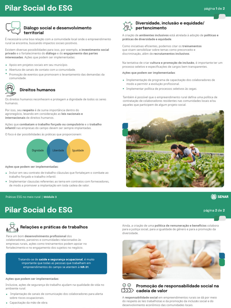 Mapa Mental Módulo3 Pdf