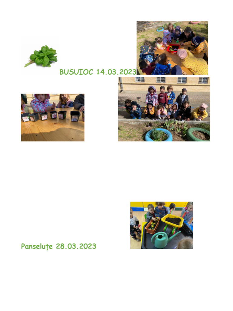 Jurnalul Meu de Gradinar | PDF