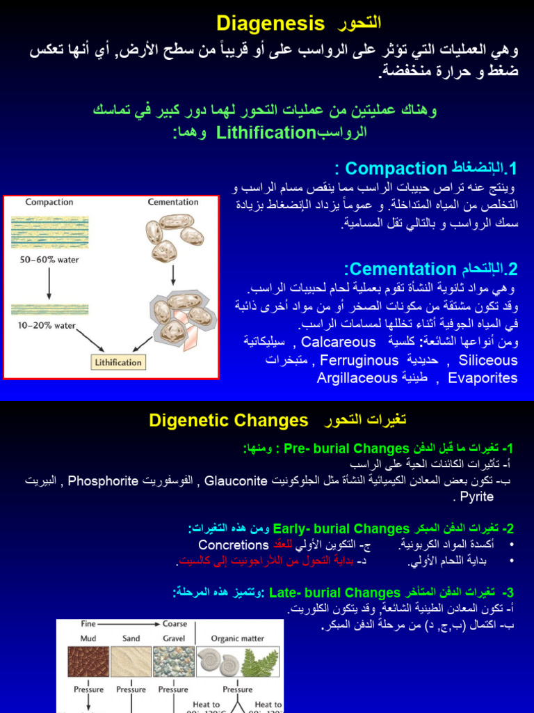 Lecture 6 Diagenesis & Sedimentary Rocks | PDF