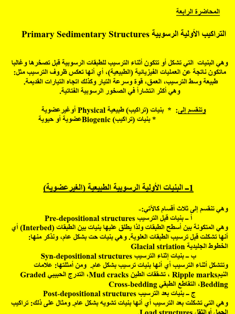 Lecture 5 Primary Sedimentary Structures | PDF