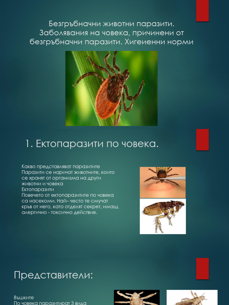 Bezgrabnachni Zhivotni Paraziti 7 | PDF