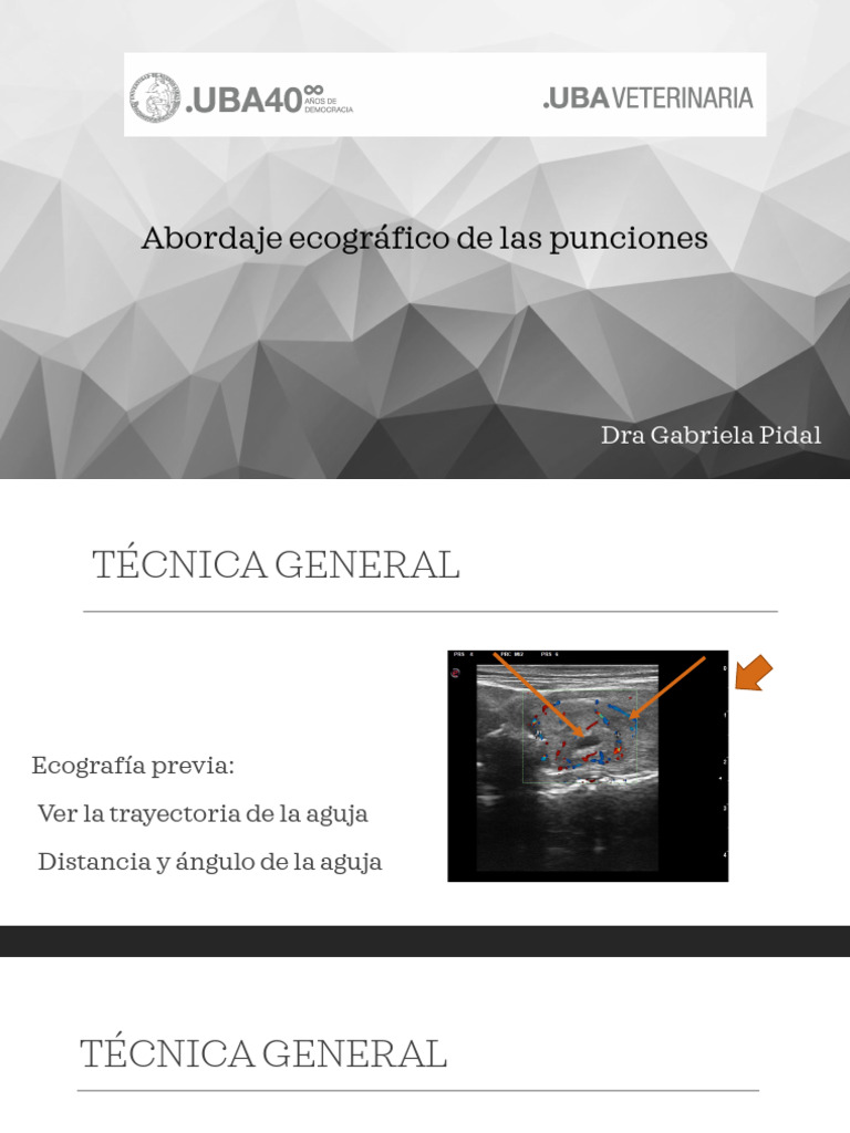 Abordaje Ecografico de Las Punciones | Descargar gratis PDF ...