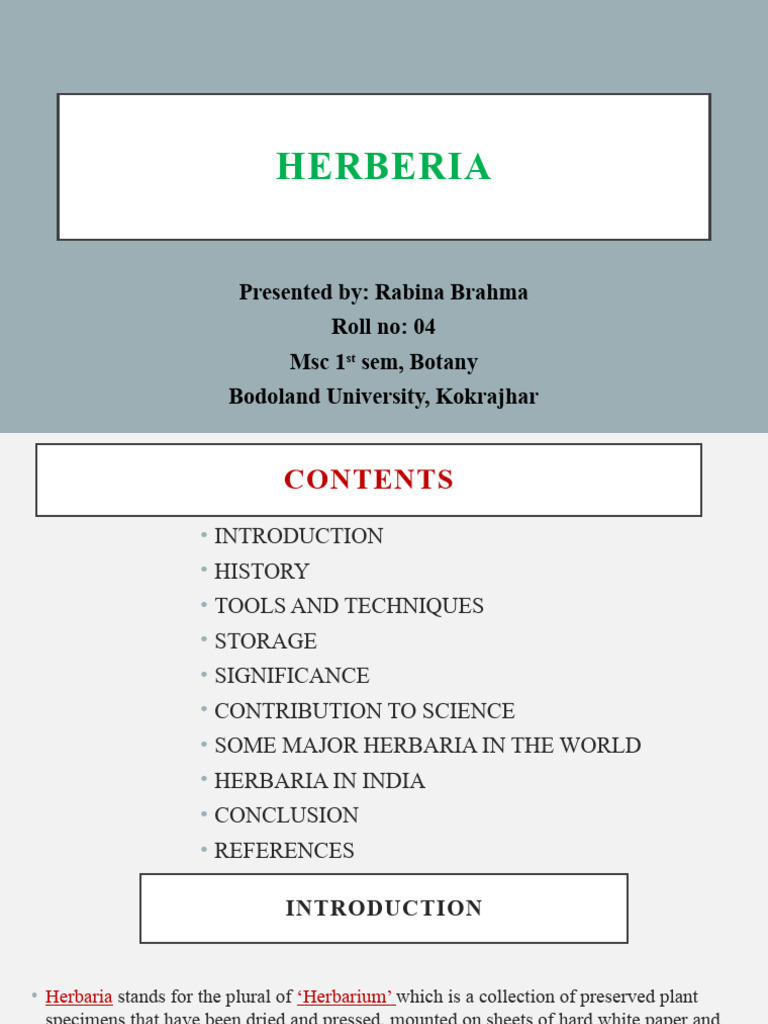 Herberia Presentation | PDF