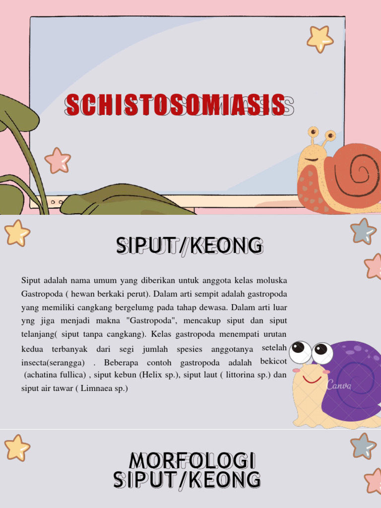Schistosomiasis: Penyakit Parasit dari Siput | PDF | Kesehatan Holistik ...