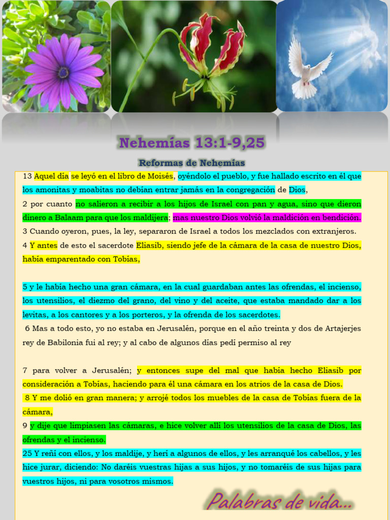 Nehemías 13 | PDF | Religión y espiritualidad